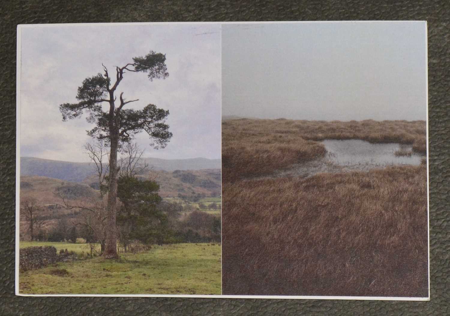 Lot 50 - BEN AND GEORGE MILES - Photographic diptych