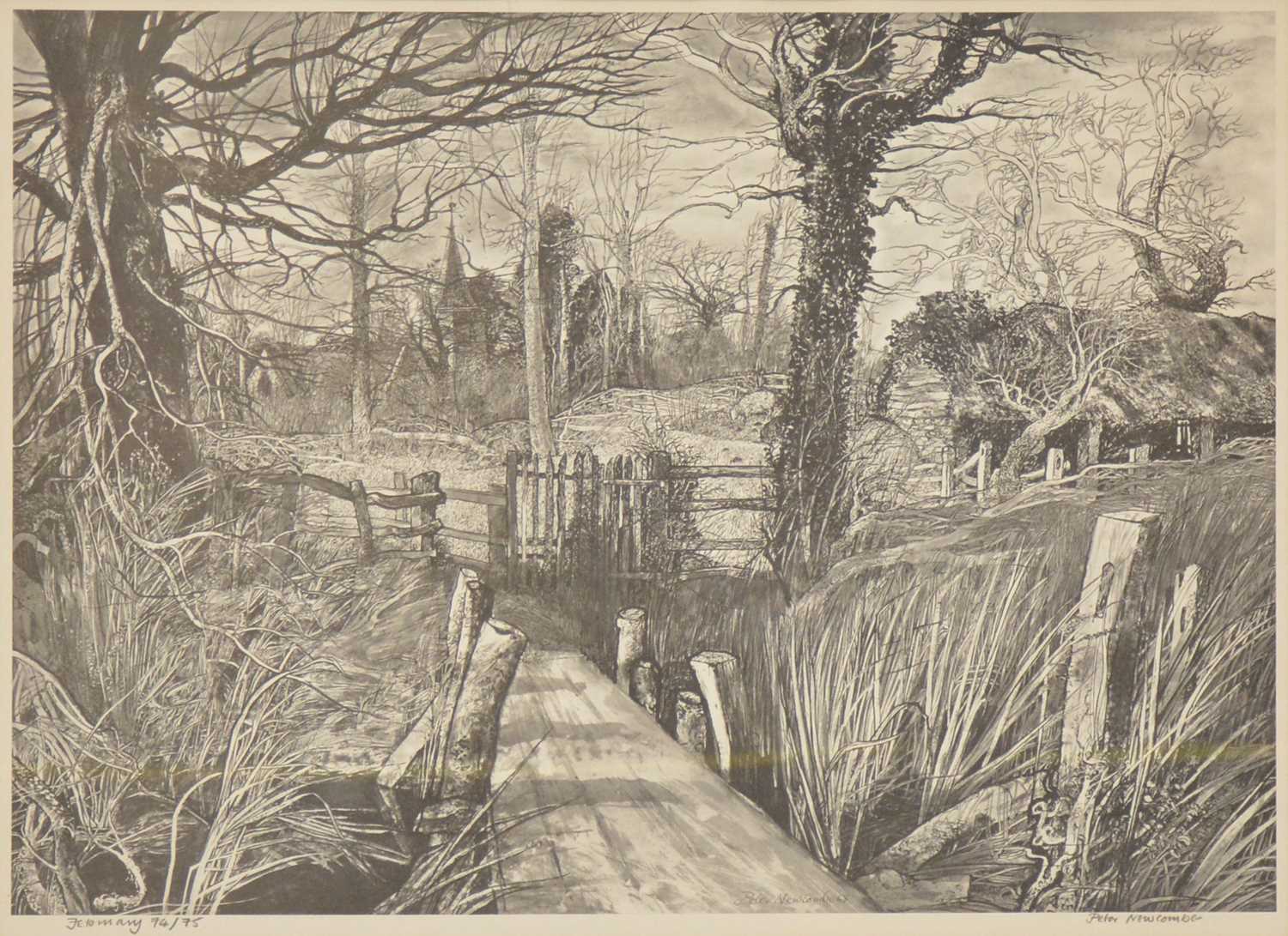 Lot 345 - Peter Newcombe, February,