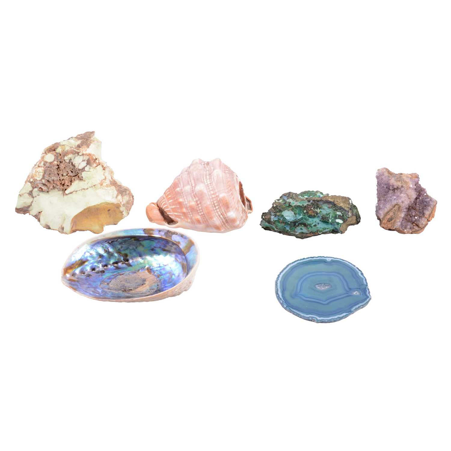 Lot 105 - Collection of fossils, shells, and
