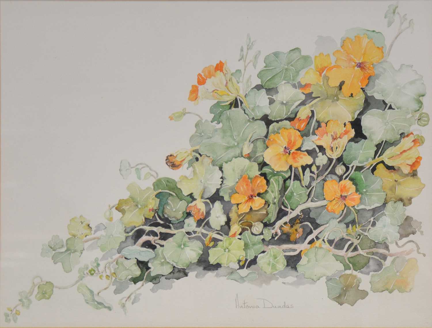 Lot 260 - Janet Rawlins, pair of collages and two