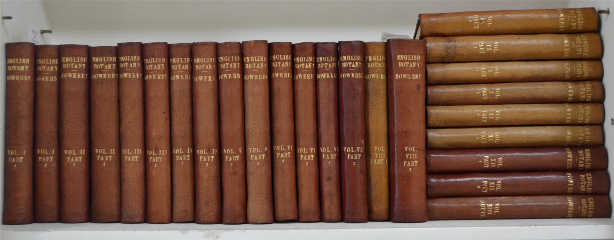 Lot 25 - John Sowerby - English Botany or Coloured