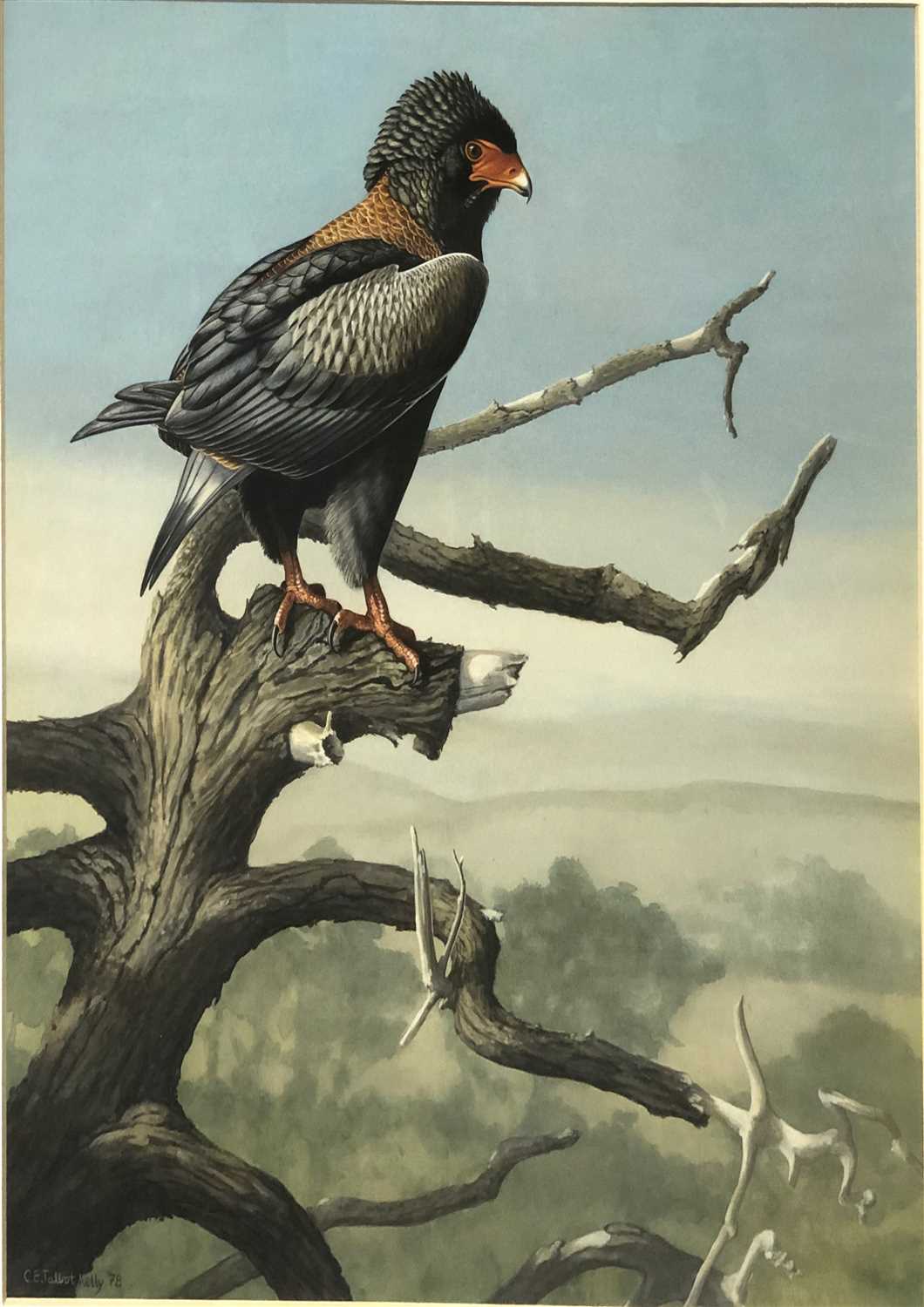 Lot 354 - Chloe Elizabeth Talbot-Kelly,