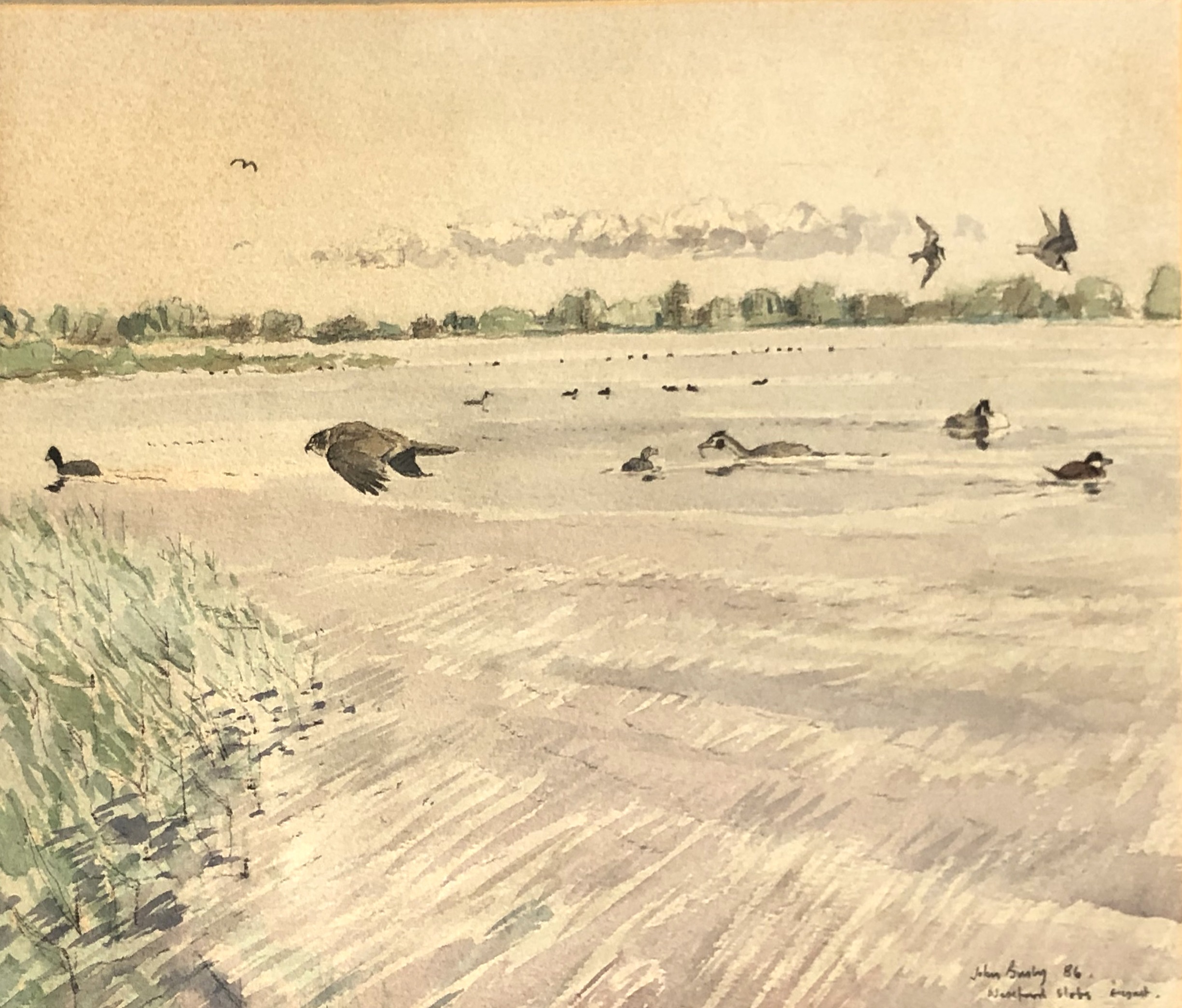 Lot 356 - John Busby,