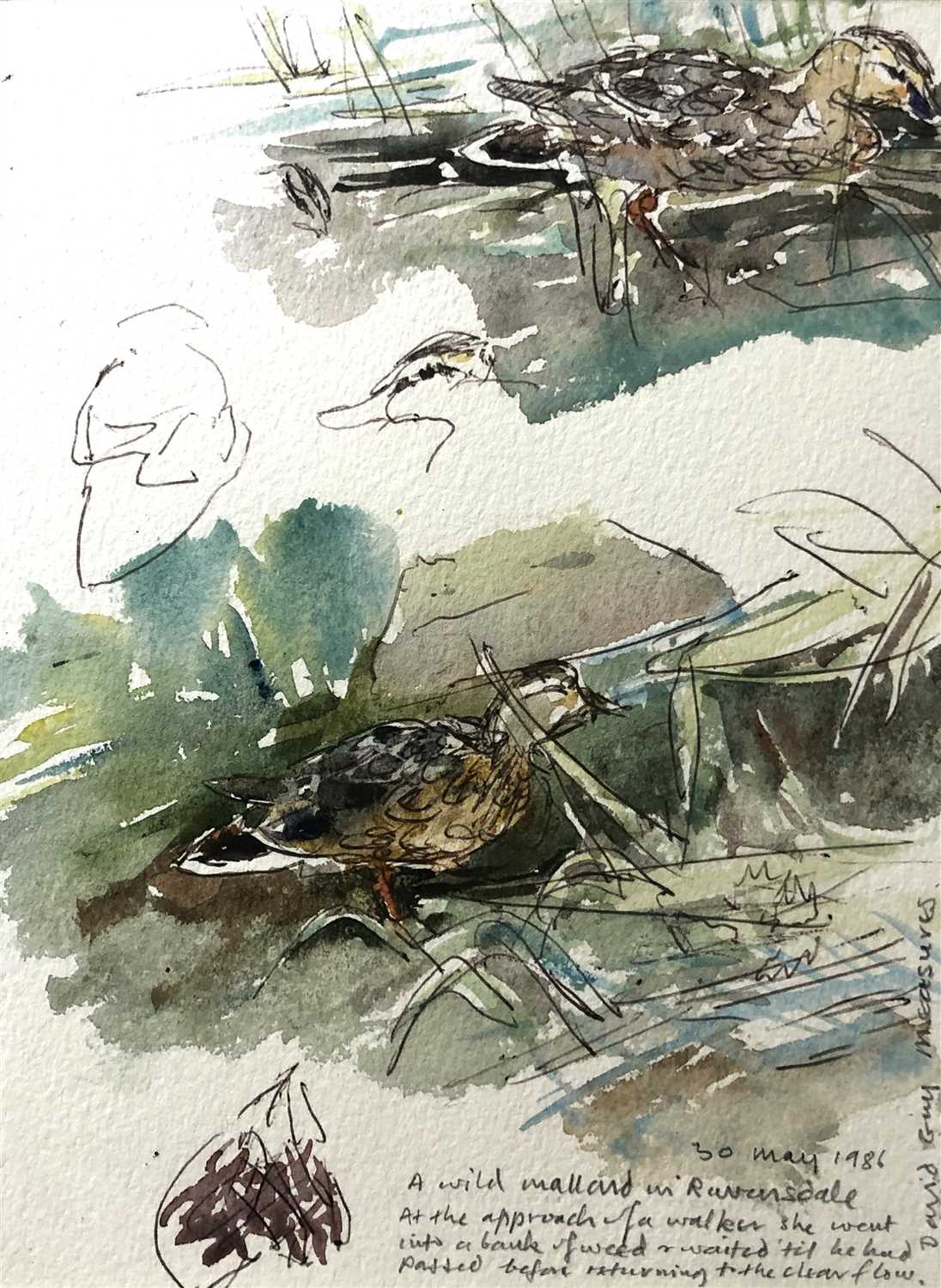 Lot 352 - Norman Arlott,