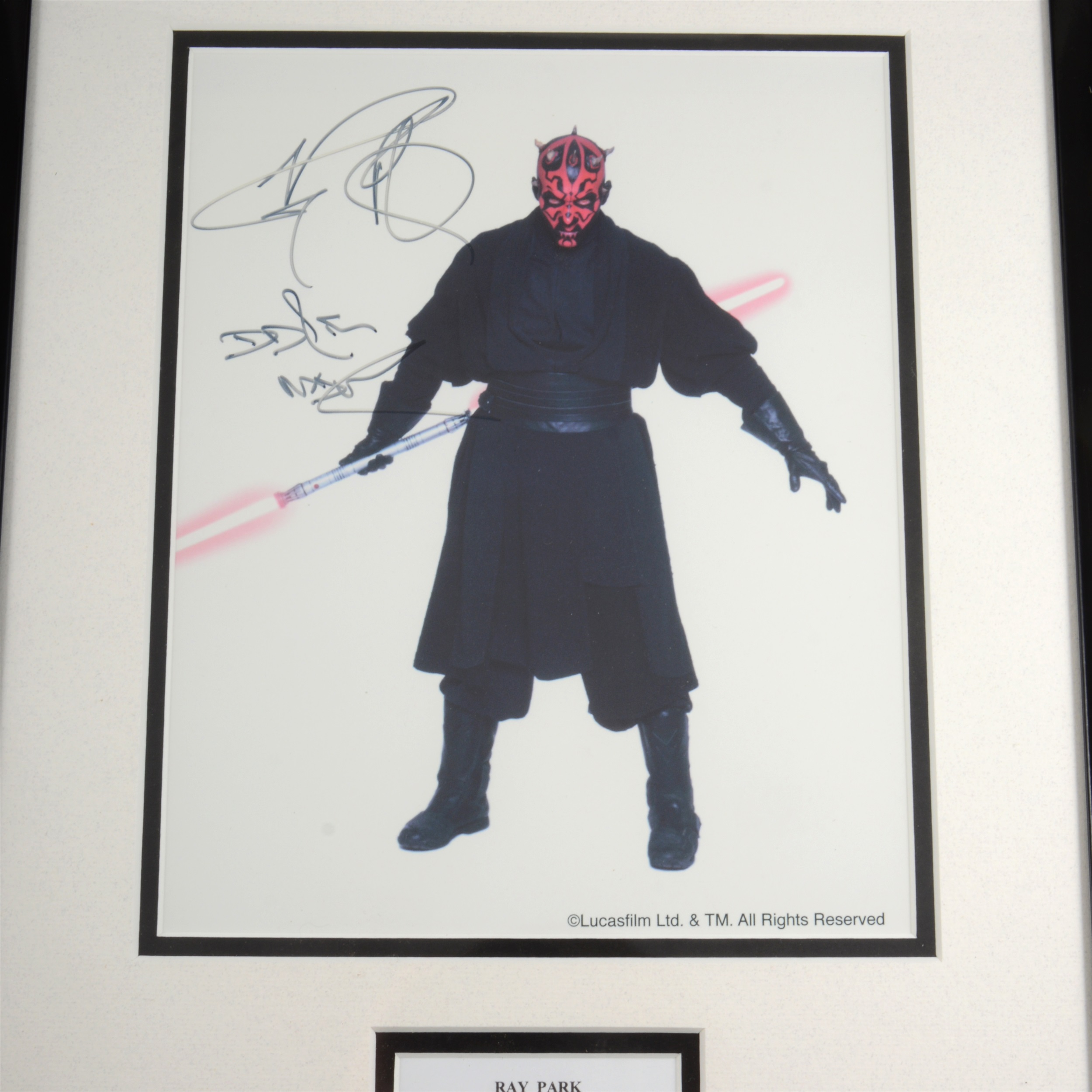Lot 209 - Star Wars Master Replicas; Darth Maul