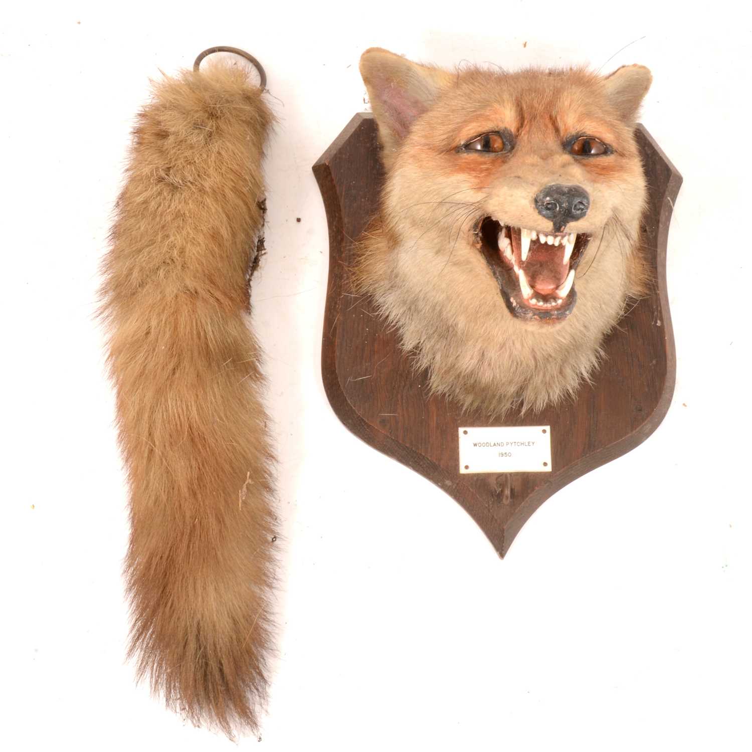 Lot 207 - Fox mask hunting trophy, labelled Woodland
