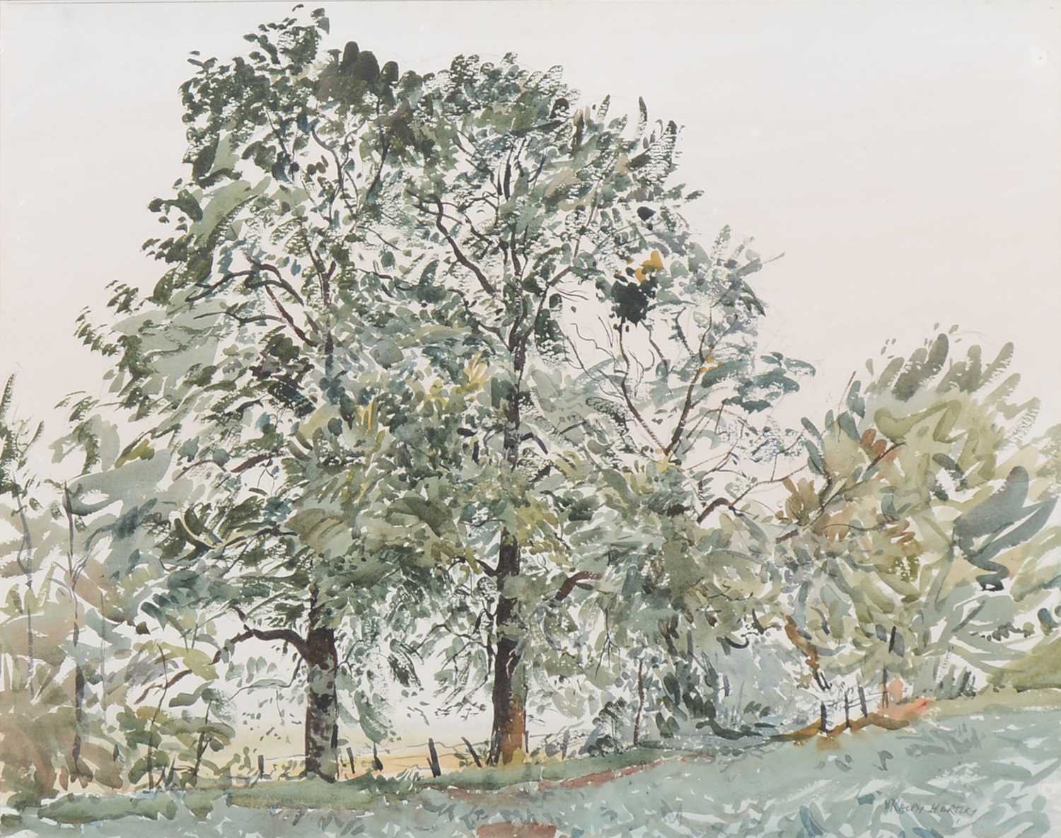 Lot 217 - Ralph Hartley, Tree study,