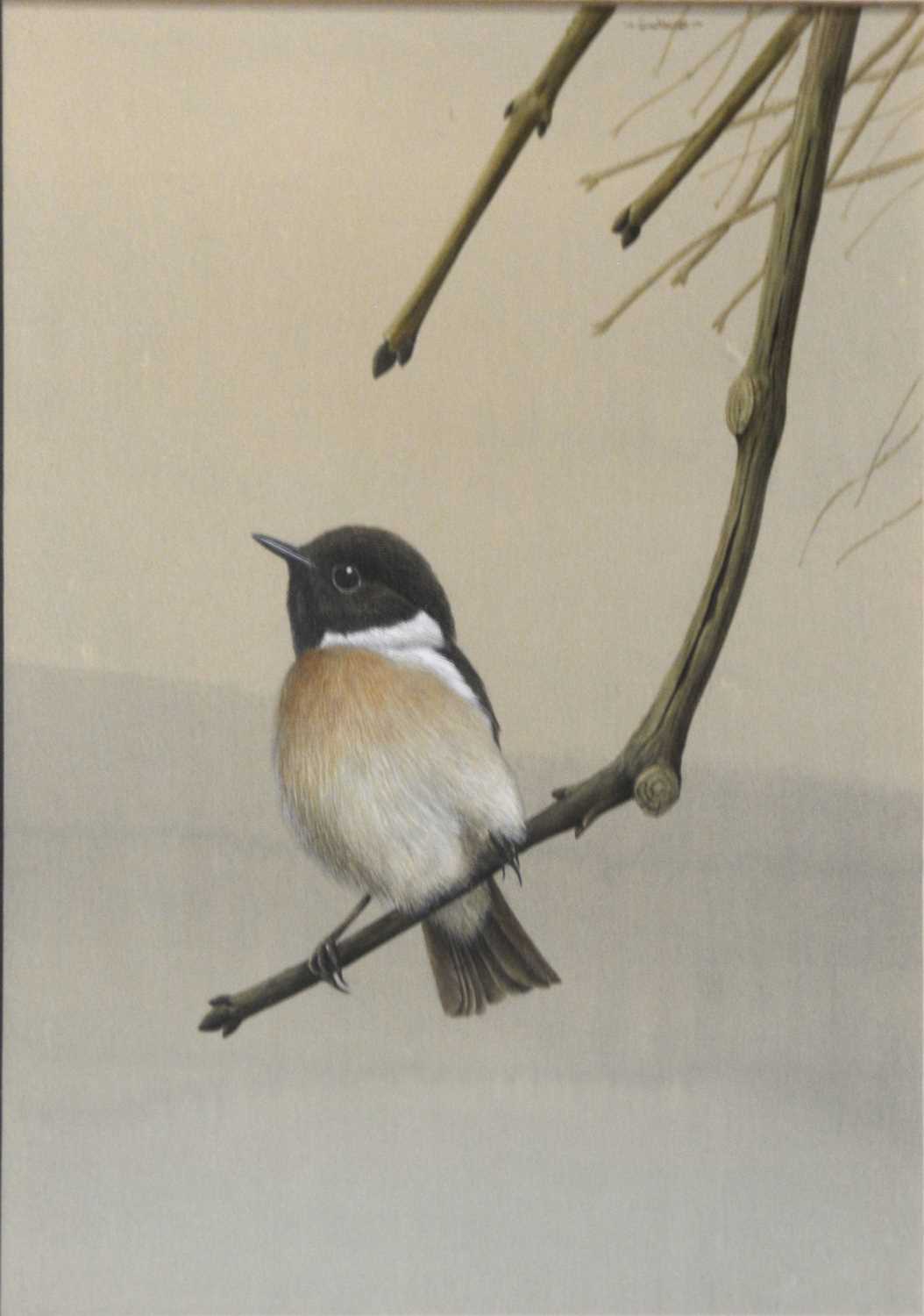 Lot 355 - David Smithurst, Stonechat