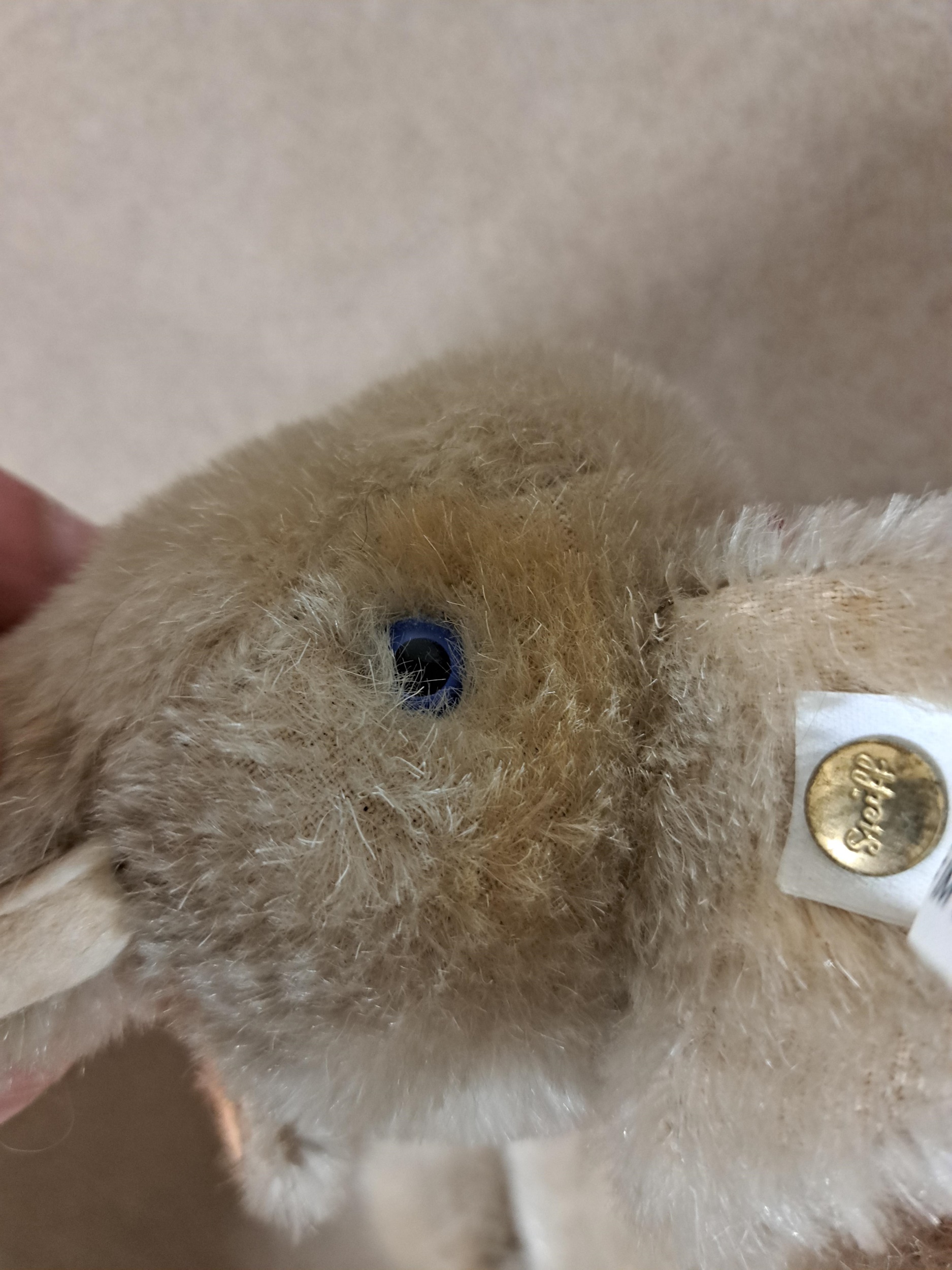 Lot 72 - Two Steiff Germany teddy bears 670374 'Year