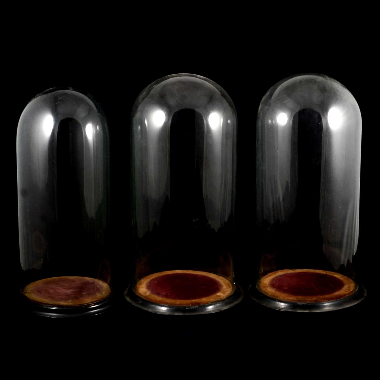Lot 226 - Three glass domes with bases, diameters