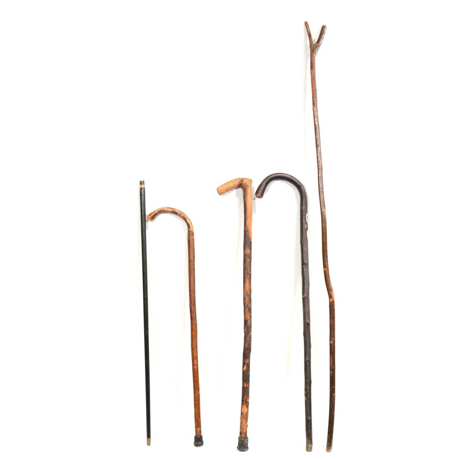 Lot 425 - Collection of walking canes